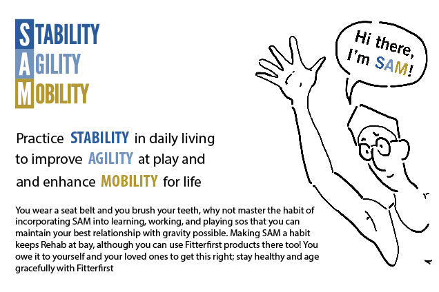 Pro Fitter Ski Trainer - Fitterfirst USA